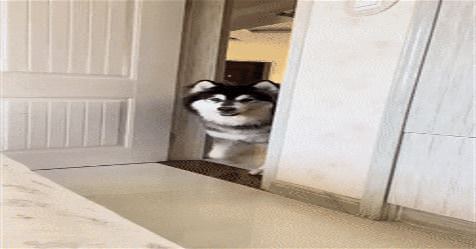 Can we play now please